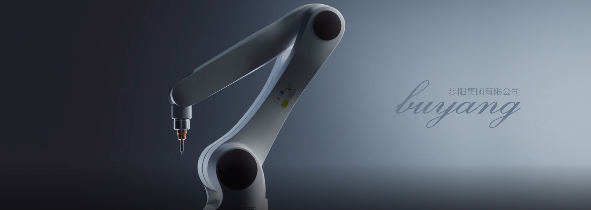 Buyang Group Co., Ltd